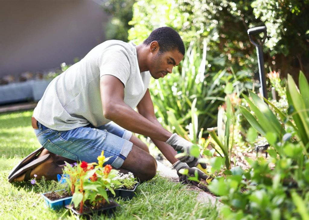 Home Care Software for Aged Care & NDIS | VIPS Care